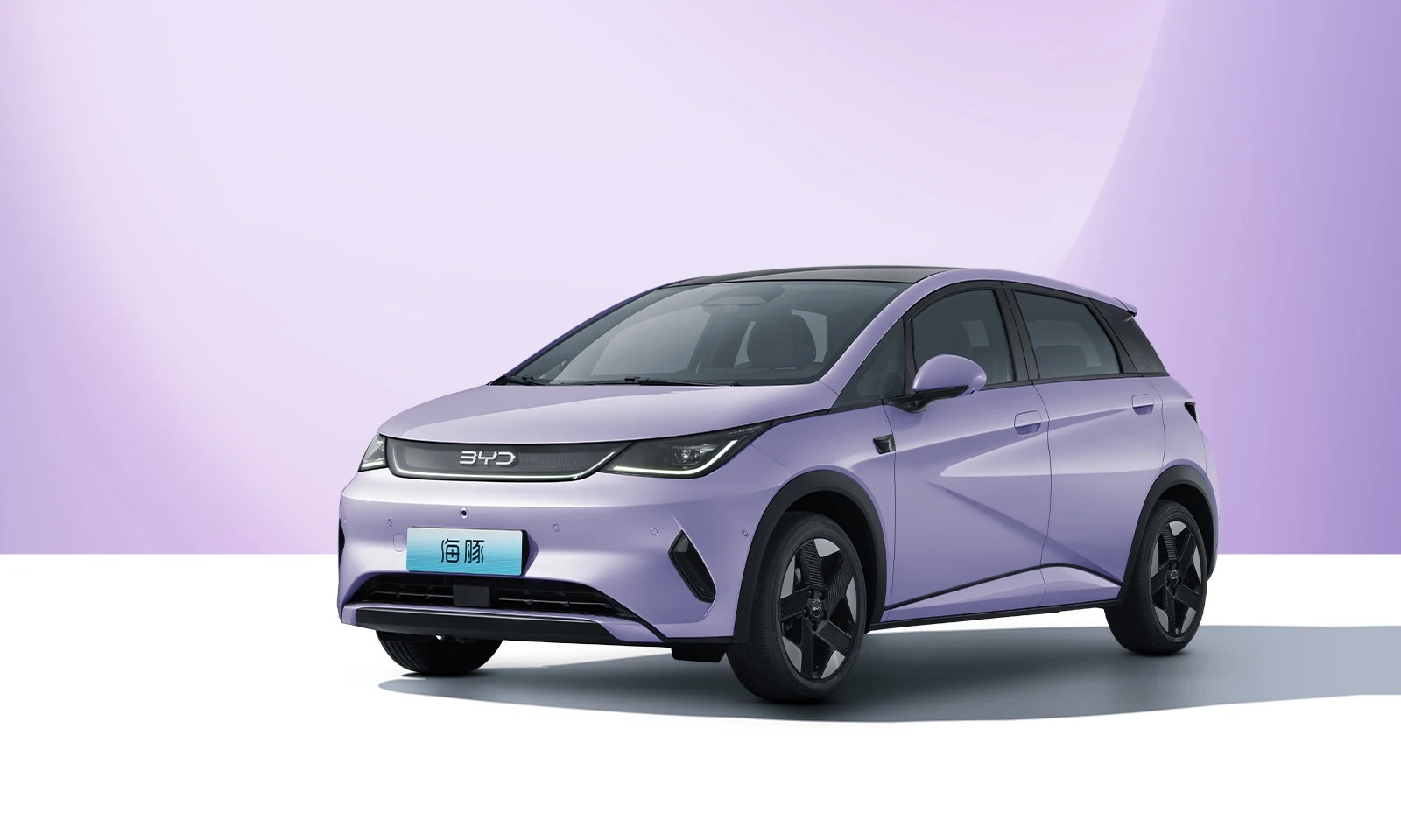 2025 BYD Dolphin EV Cars BYD Autosilta - Carjiajia